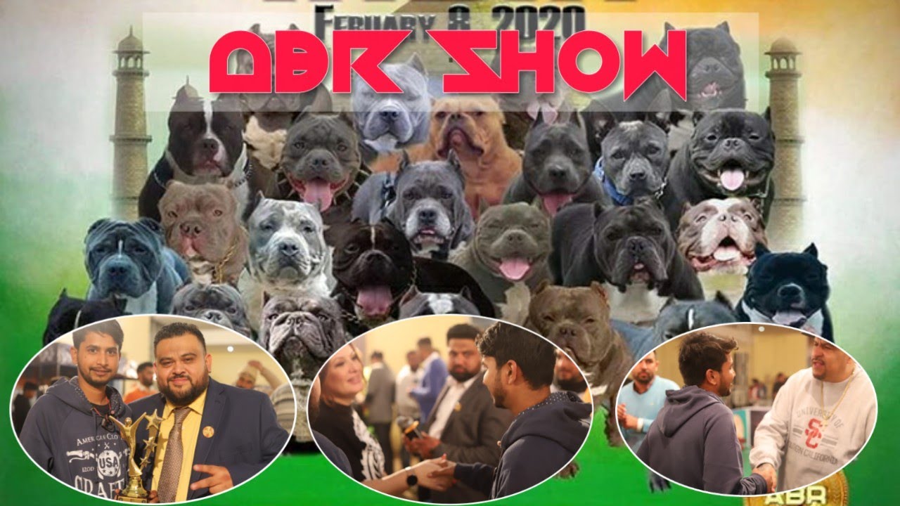 ABR Show First Time In India | Full Video | Rv Ke Pets Gets Appreciated ...