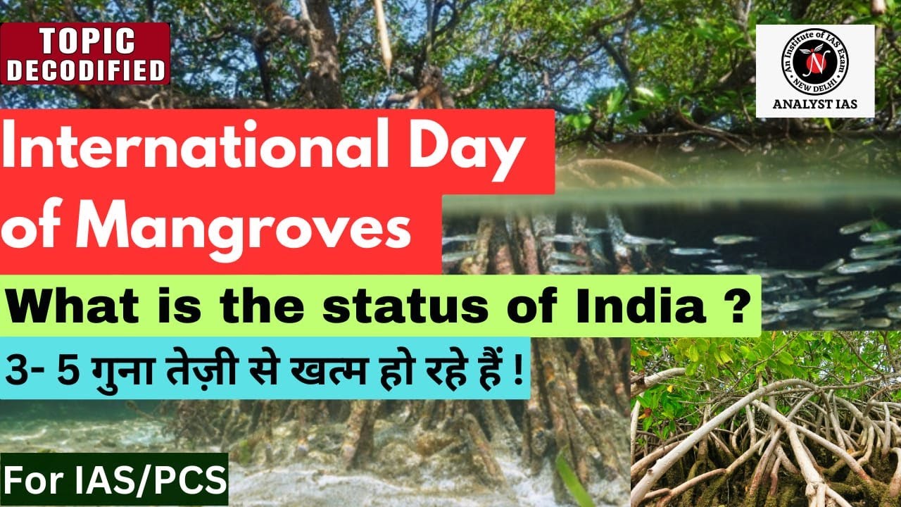 Mangroves Upsc