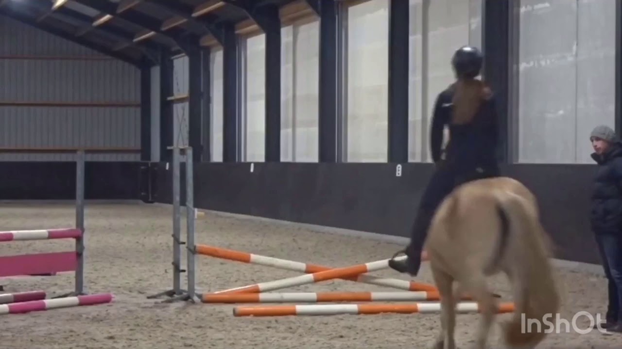 But i’m only human/Horse ️ Fenna & Moos - YouTube