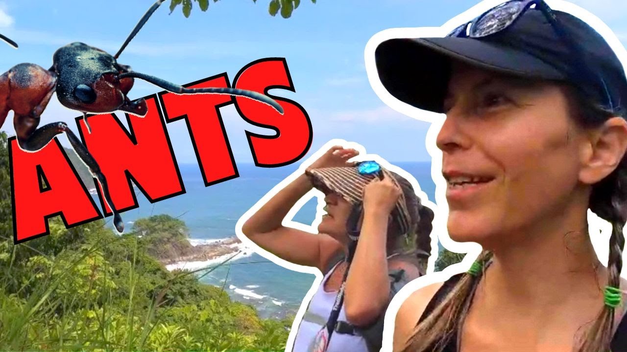 Exploring Quebrada Bonita, Jacó,Costa Rica - YouTube