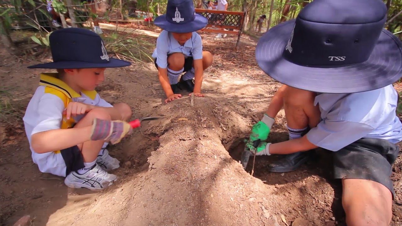 TSS Prep Rainforest 2018 - YouTube