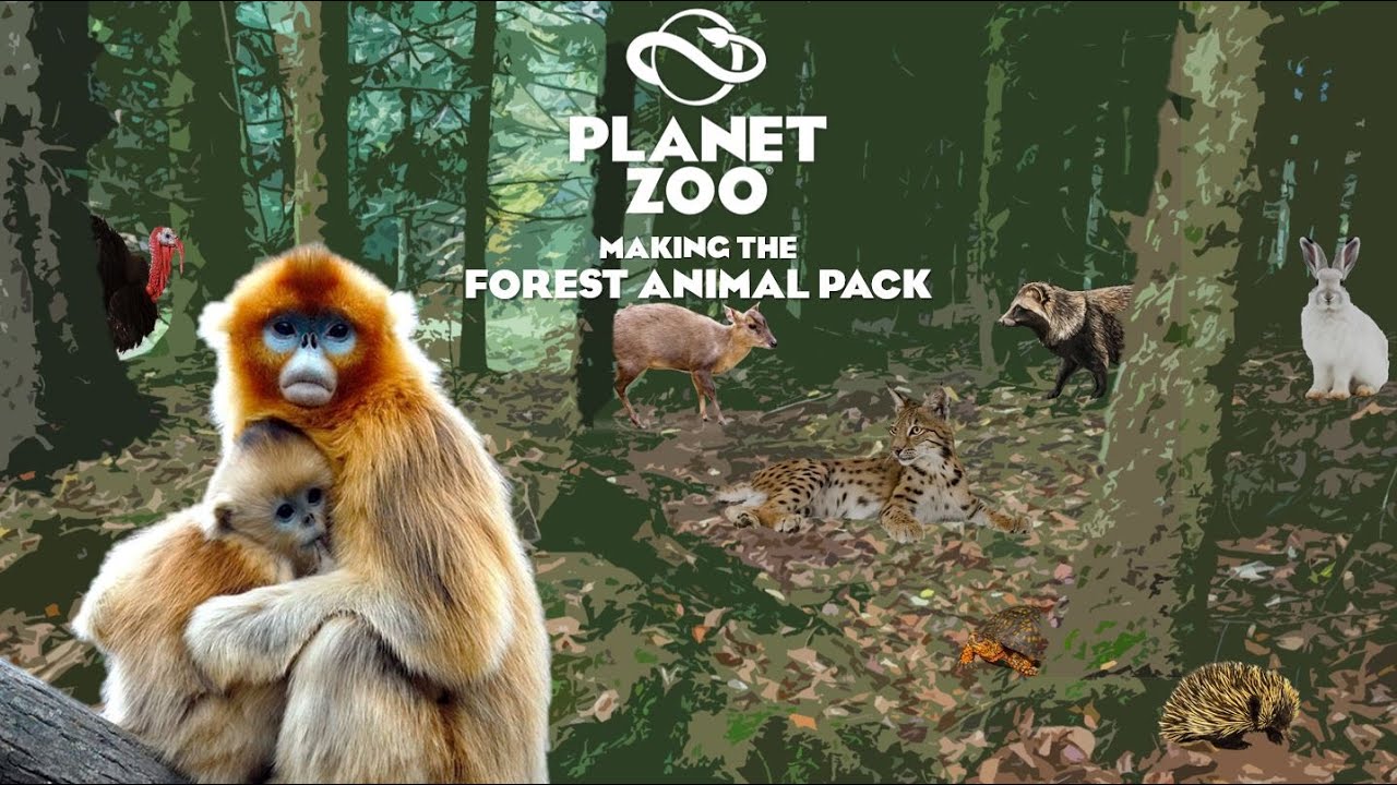 Making the Forest Animal Pack - Planet Zoo DLC Speculation - YouTube