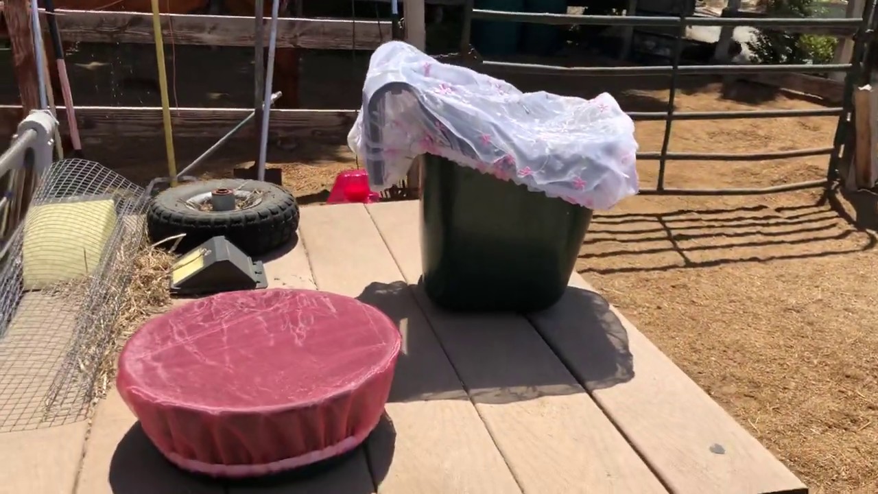 DIY: Feed Bucket Covers v2 - YouTube
