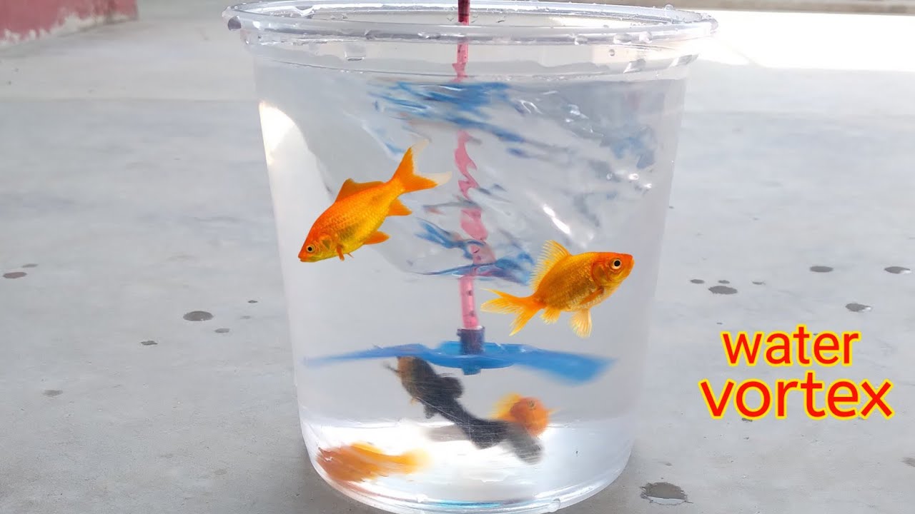 How to make water vortex vs fish using motor ! पानी के अंदर बवंडर ...