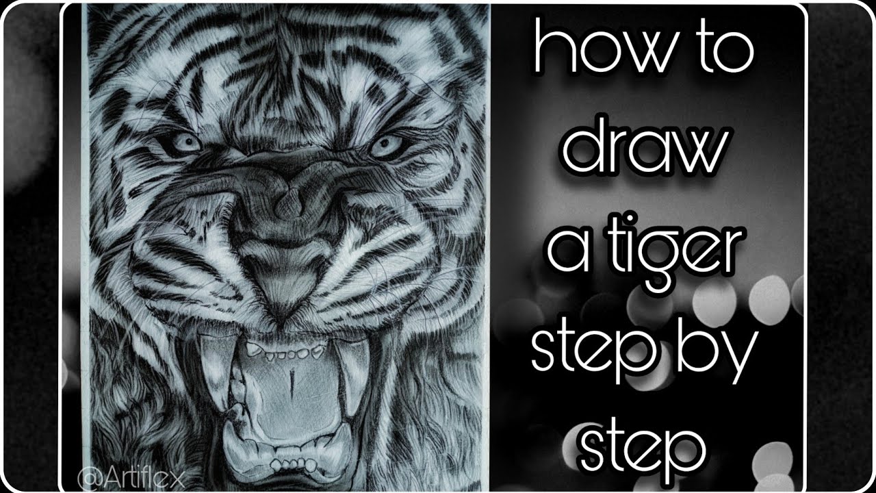 tiger sketch step by step || tiger sketch easy drawing || realistic tiger sketch || tutorial ...