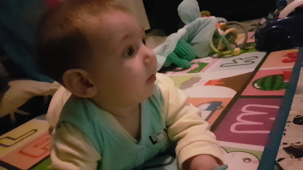 Daisy chewing - YouTube