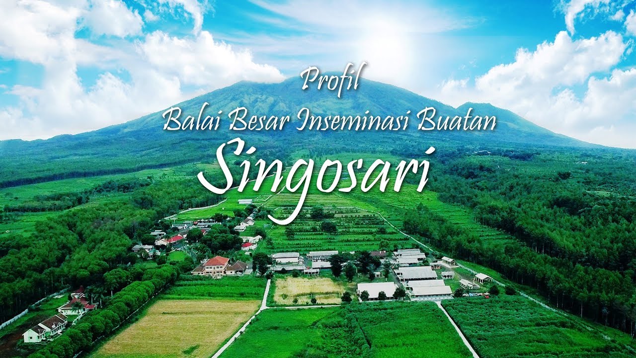 Profil BBIB Singosari 2018 - YouTube