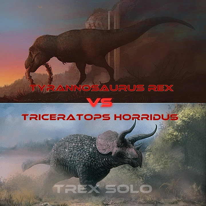 Tyrannosaurus Rex vs triceratops horridus #edit #comparison #dinosour # ...