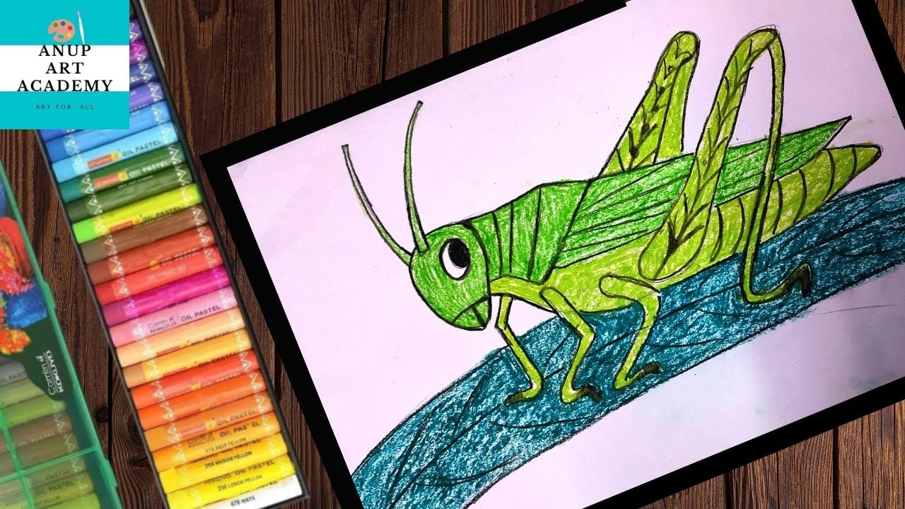 How to Draw Grasshopper Step by Step/Easy and simple Grasshopper ...