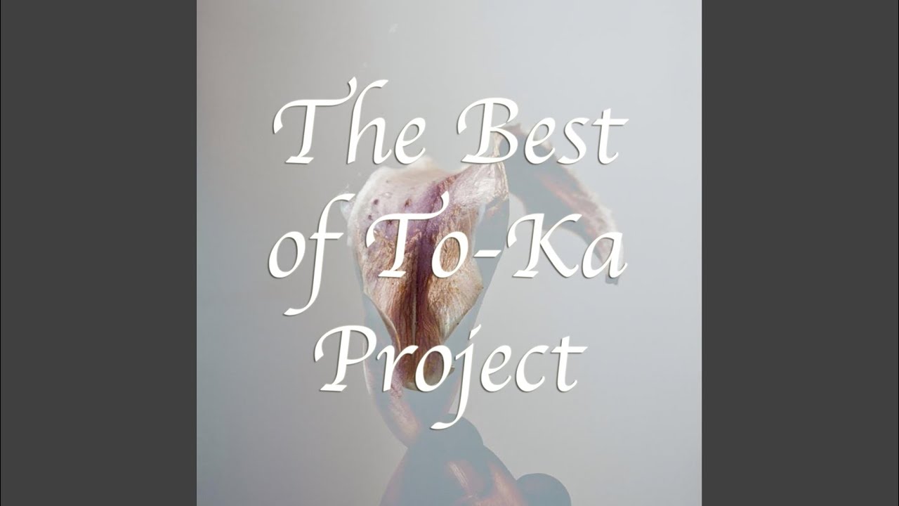 The Best of To-Ka Project (Up Close) - YouTube