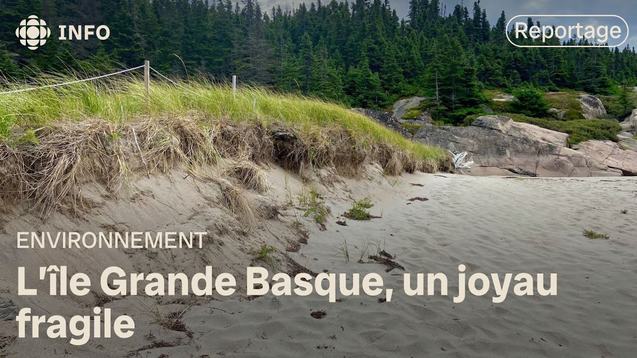 Moins de touristes sur l’île Grande Basque pour mieux la protéger ...