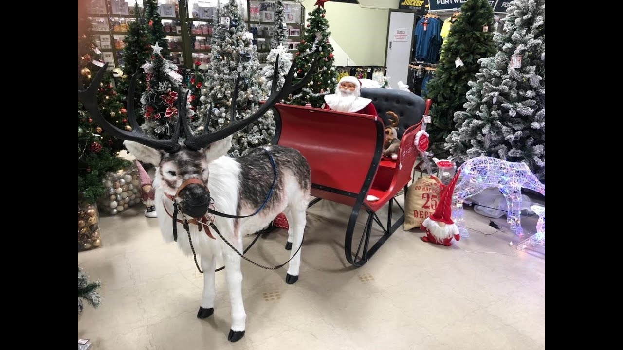 Nollaig Dearg (Red Christmas) - YouTube