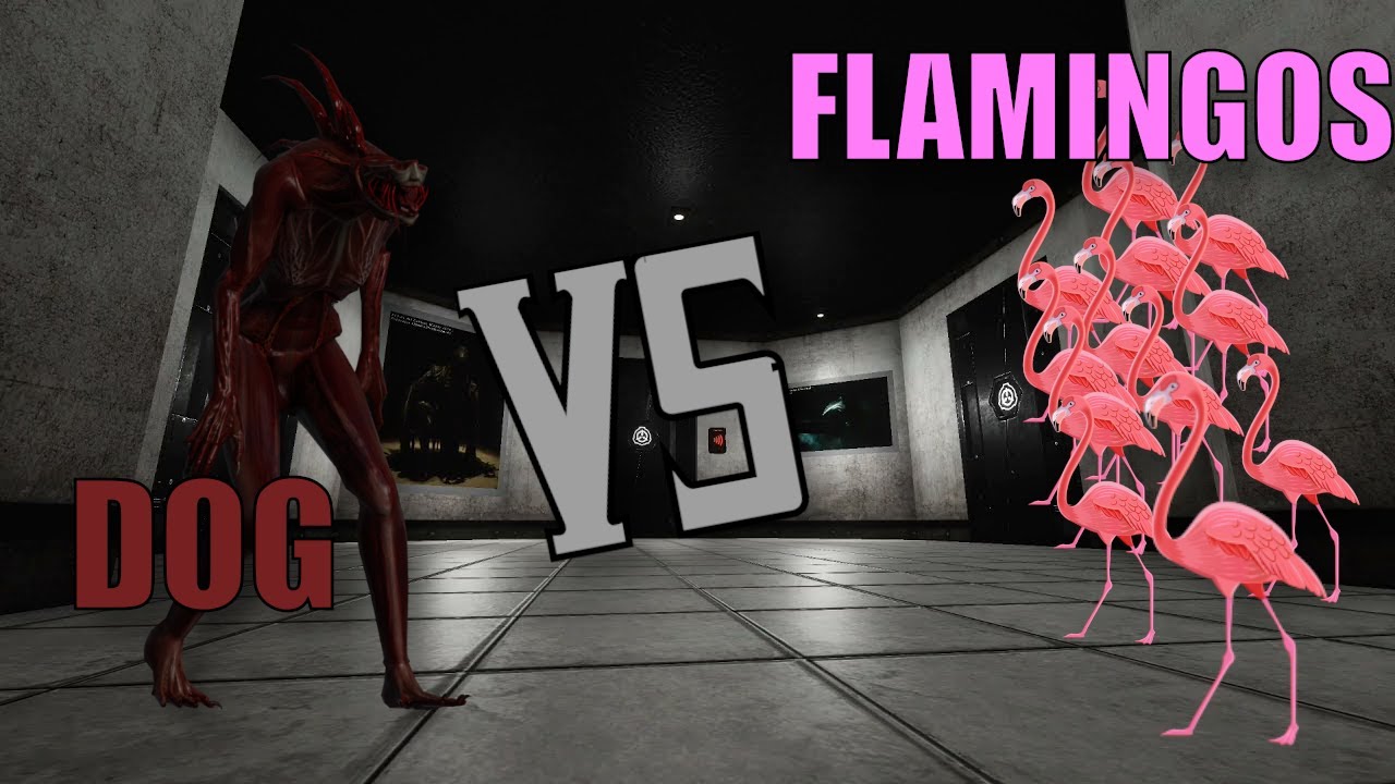[SCP:SL] Dog vs. Flamingos | SCP:SL Funny moments - YouTube