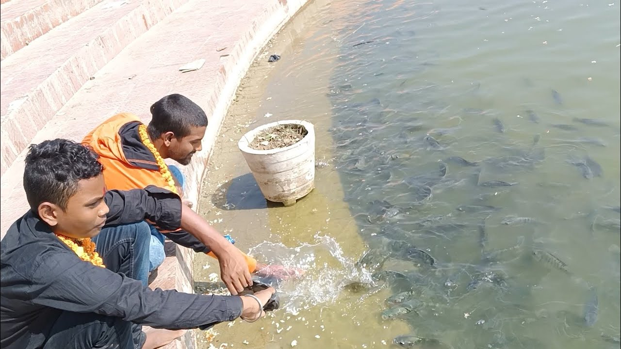 Jankpur Fish 🐟 Temple Nepal Jankpur Machli Mandir Jankpur Nepal Vlog ...