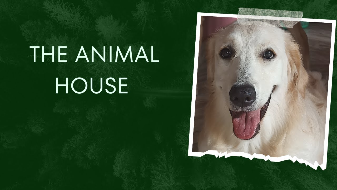 Aj mon ta amar khub kharap - YouTube