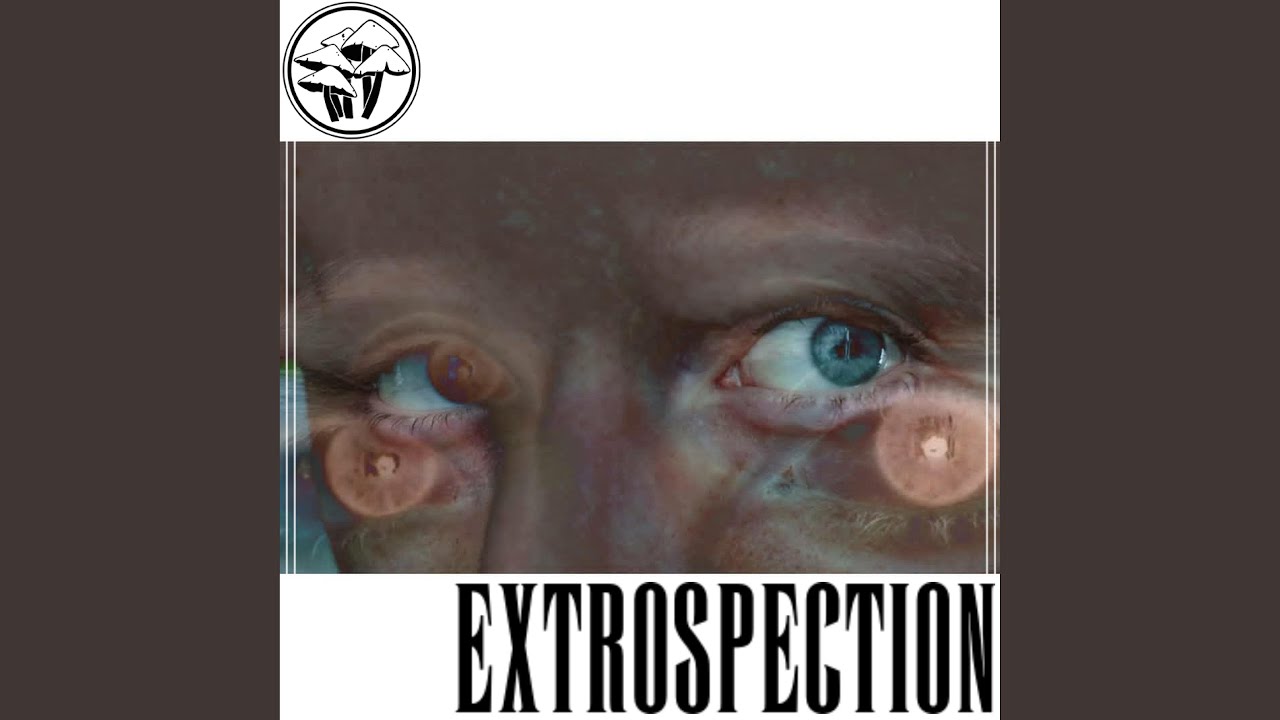 Extrospection - YouTube