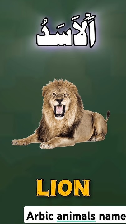 learn arabic animal names | animal arabic name | arabic animal names|# ...