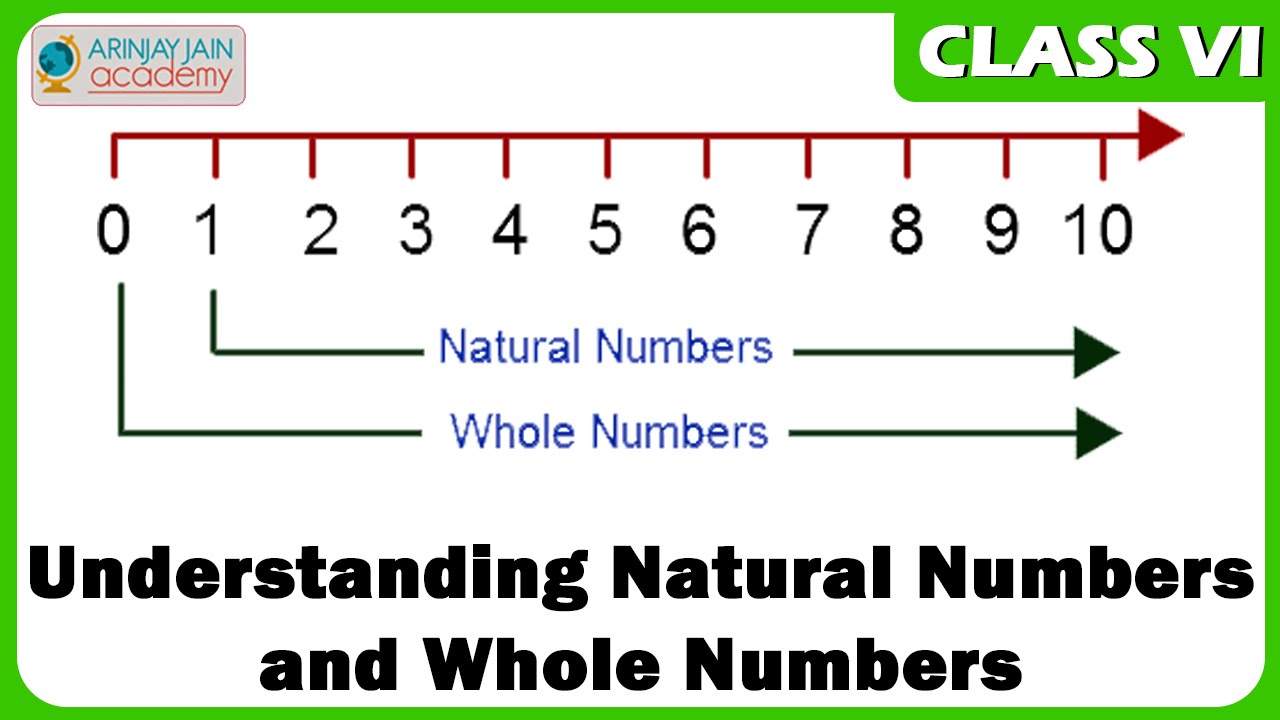 Understanding Natural Numbers And Whole Numbers Number System Maths Understanding Natural Numbers And Whole Numbers Number System Maths