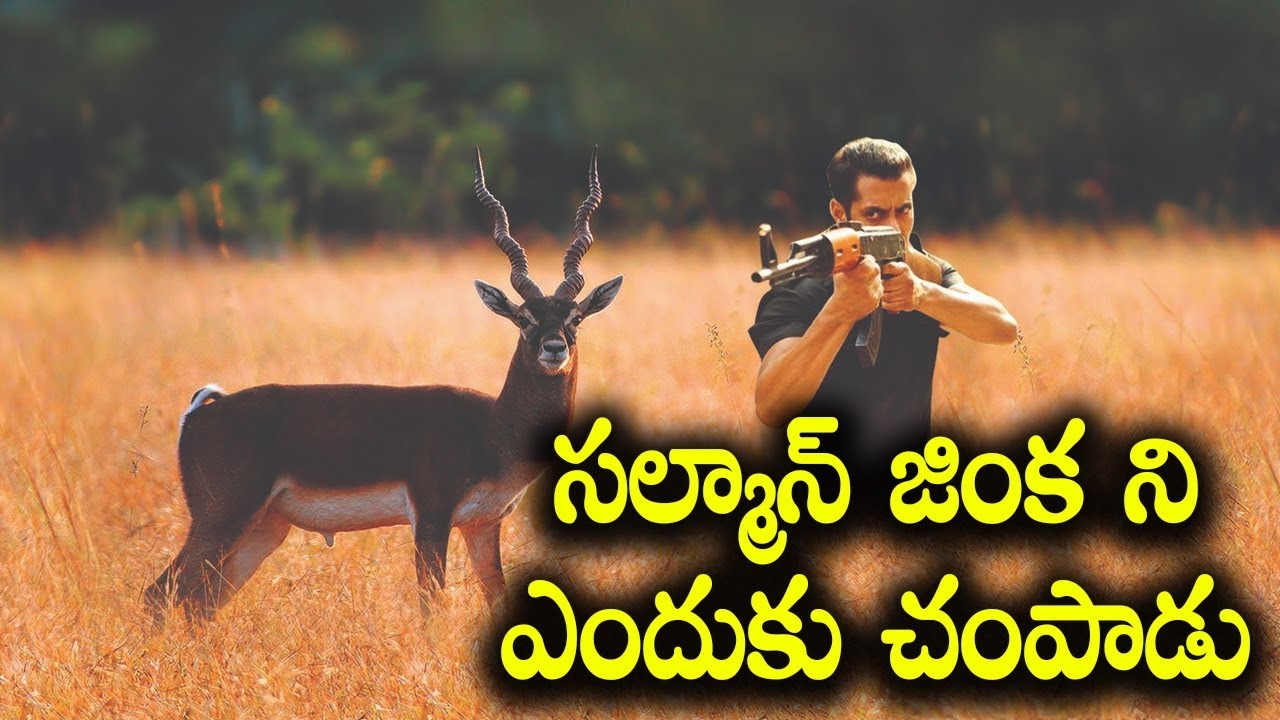 Full Story Behind Salman Khan Killed Deer Telugu Facts YouTube full-story-behind-salman-khan-killed-deer-telugu-facts-youtube