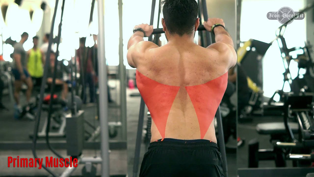 Lats::Straight Arm Pull down - YouTube