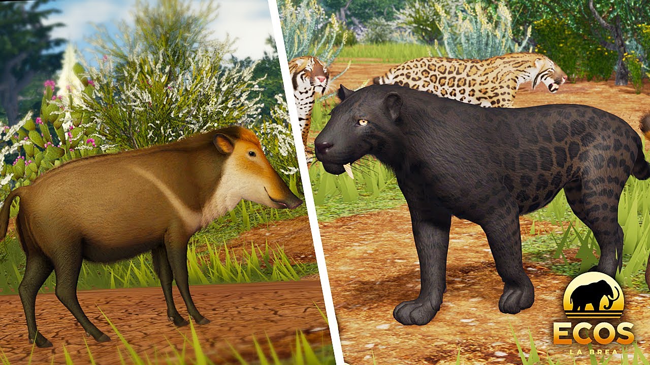 Ecos: La Brea NEW Peccary AI, Smilodon skins & More! - YouTube