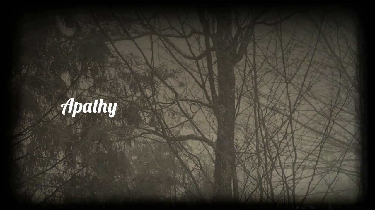 Color of Feelings - Apathy (Official Lyric Video) - YouTube