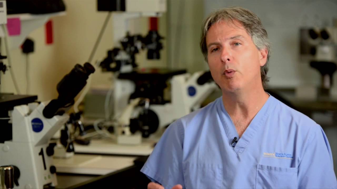 Dr Silverberg Discusses Antral Follicle Counts - YouTube