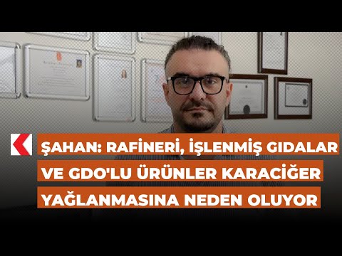 Uzman Şahan: Rafineri, işlenmiş gıdalar ve GDO'lu ürünler karaciğer yağlanmasına neden oluyor