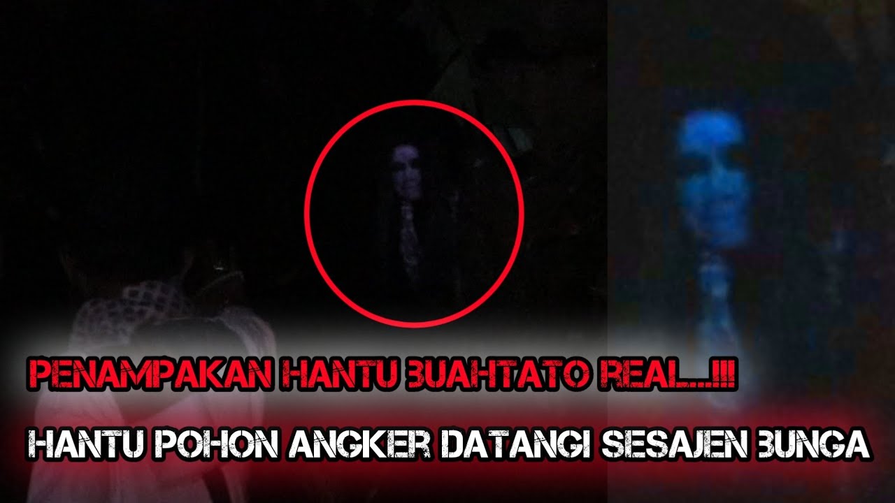 HANTU KALIMANTAN penunggu pohon angker datangi sesajen bunga - YouTube