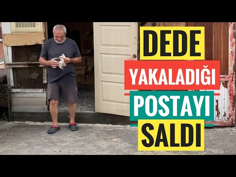 DEDENİN YAKALADIĞI SARI POSTAYI SALDIK UÇURDUK GİTTİMİ? KALDIMI? HEDİYE EDİLEN EFSANE MACAR BASKA