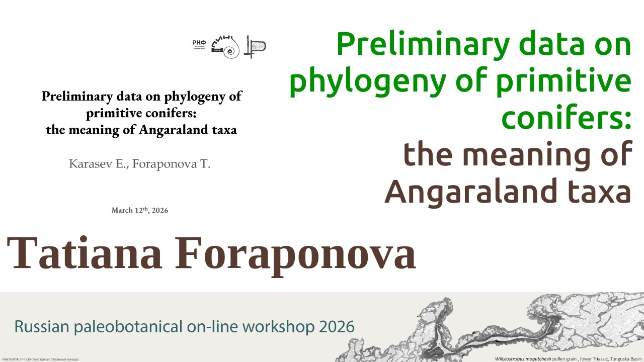 Tatiana Foraponova - Preliminary data on phylogeny of primitive ...