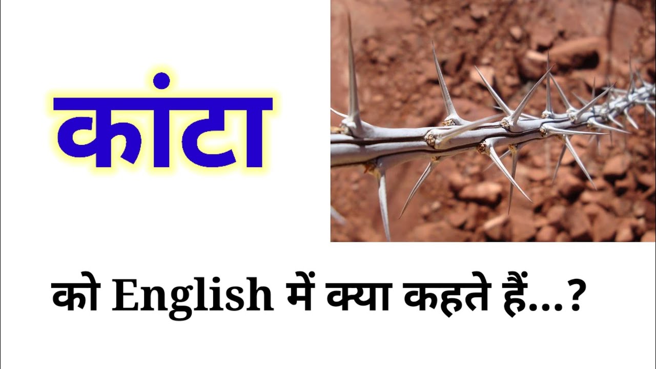 Kanta ko English me kya kahte hai|| Kanta ka english kya hota hai ...