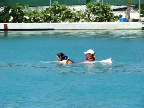 Dolphin Foot Push - YouTube