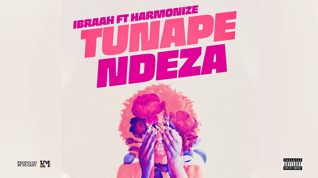 Ibraah Ft. Harmonize - Tunapendeza (Official Audio) - YouTube