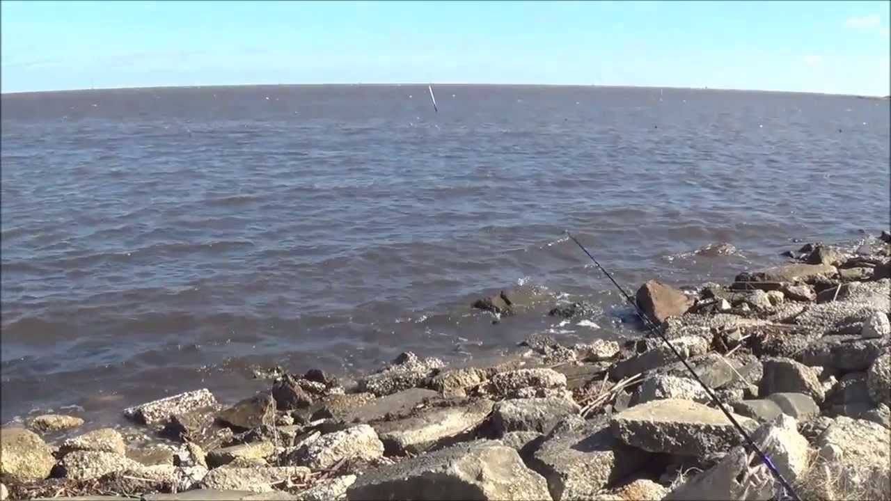 Louisiana. Fishing Lake Pontchartrain. A Limit Of Reds!!! Bonnet Carre ...