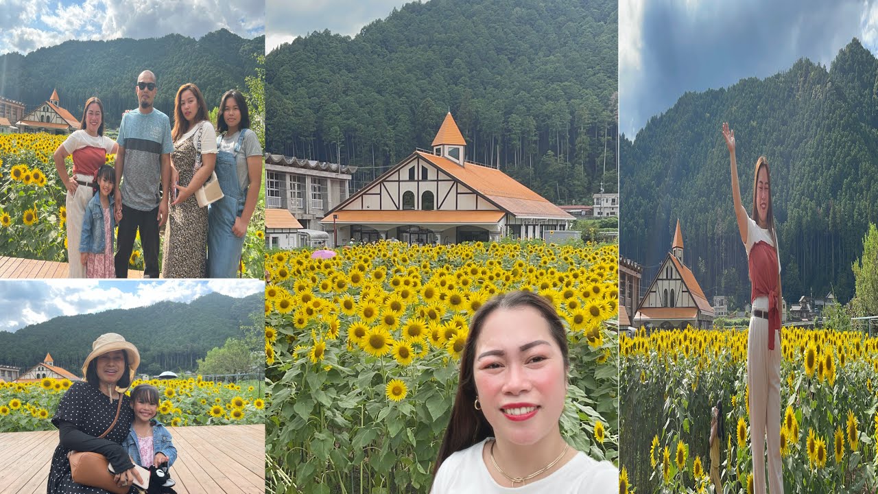 Sunflower Farm🌻 in holidays in Japan 🇯🇵 - YouTube