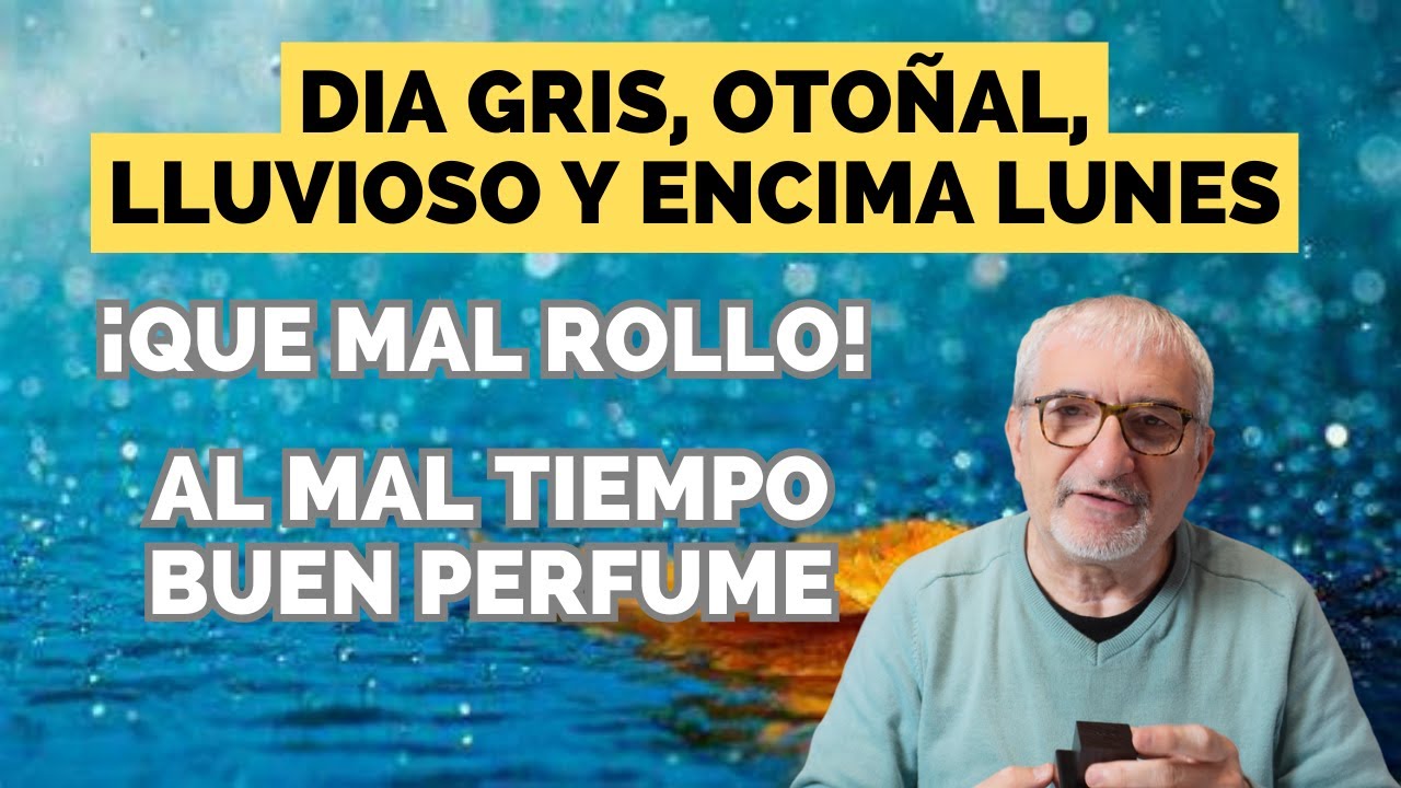 DIA GRIS, 🍂OTOÑAL LLUVIOSO🌧️Y LUNES ¡QUE MAL ROLLO! 5 PERFUMES AL MAL ...