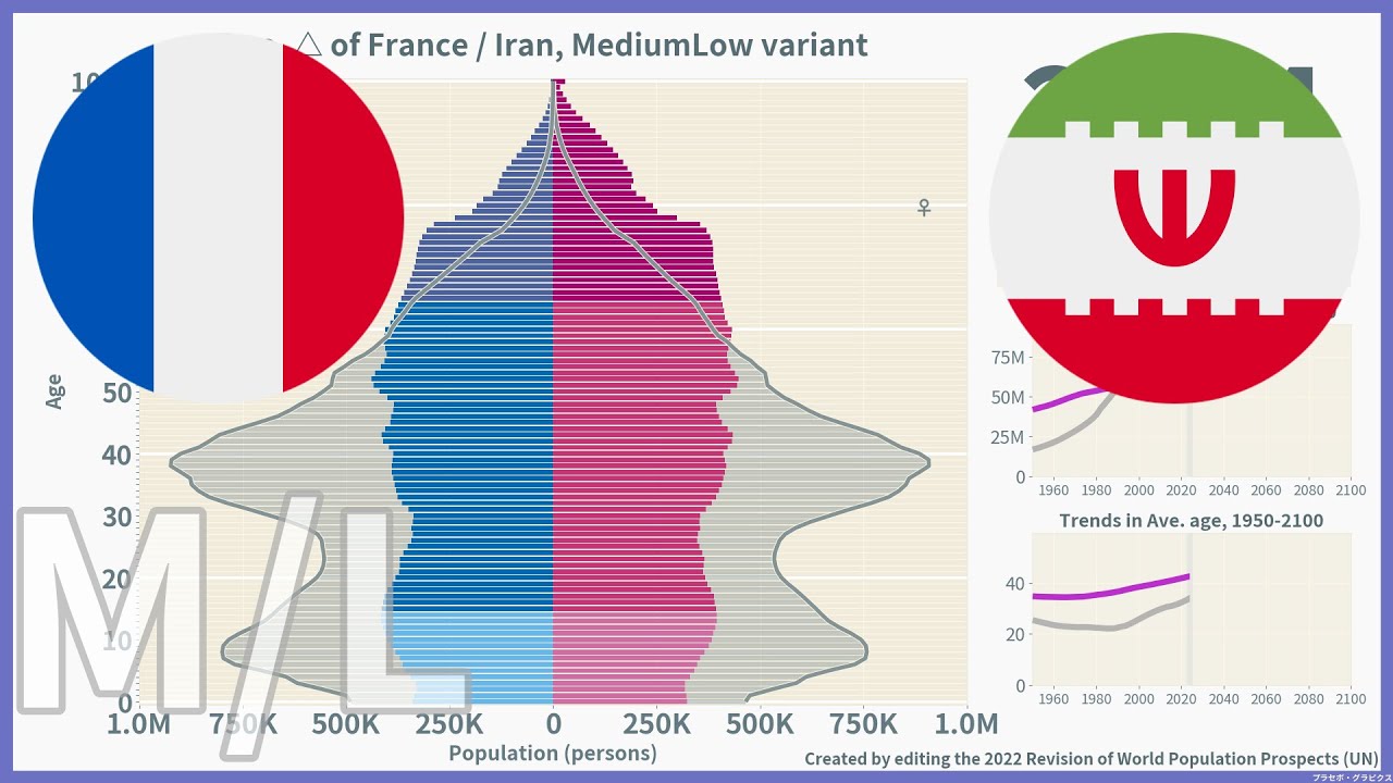 [🇫🇷France vs 🇮🇷Iran] Comparison of Population Pyramids (1950-2100 ...