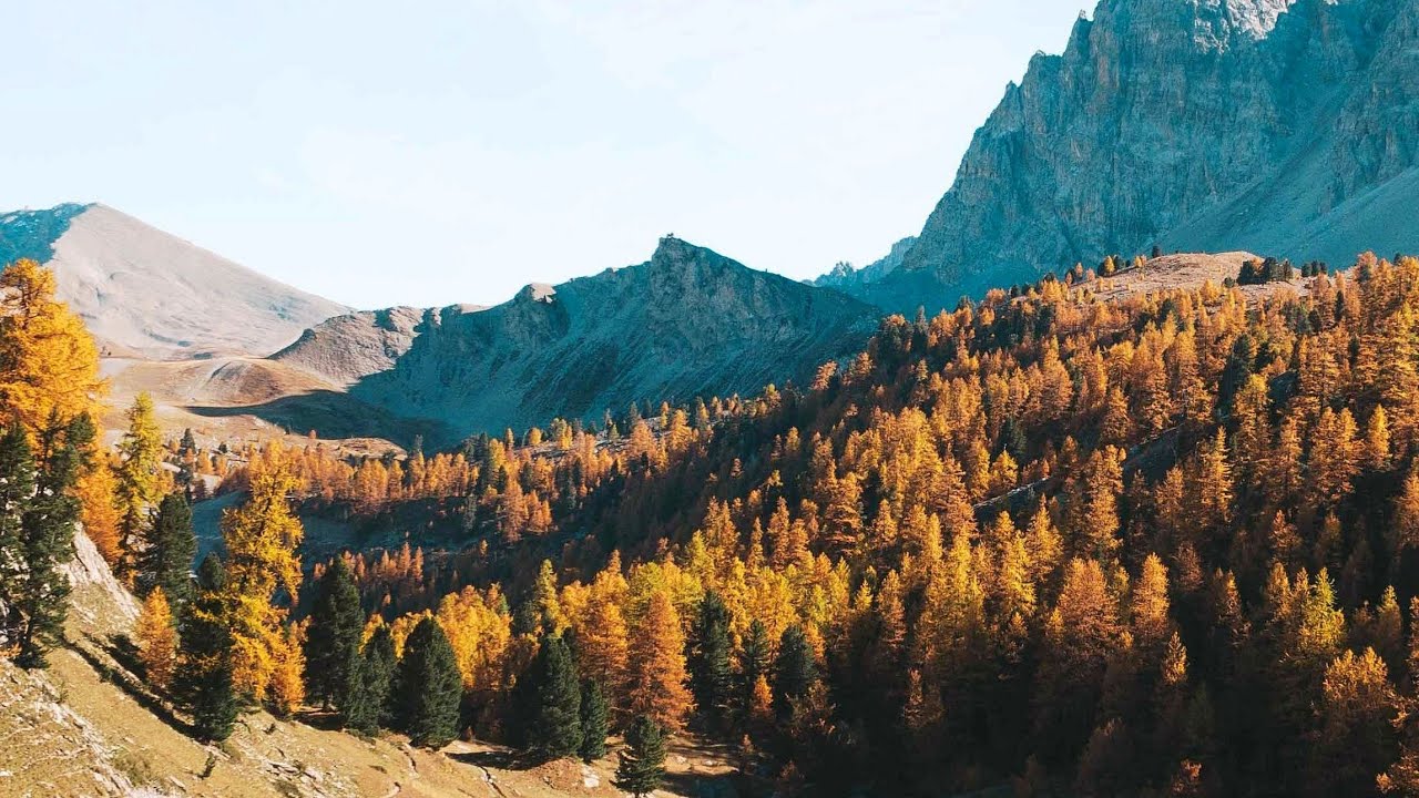 TALIME LUHENDE_NGOMBE SONG NYIMBO YA NGOMBE BY MNYAMA STUDIO - YouTube