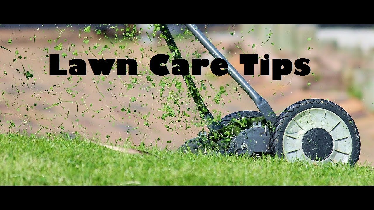 How to take care of your lawn : Lawn Care Tips : Lawn Care Ideas : Lawn ...