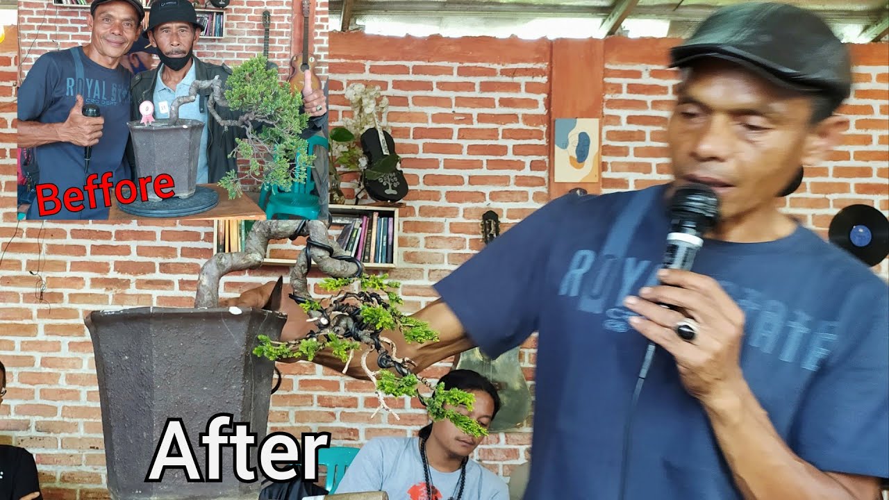 demo bonsai master AA GARUT - YouTube