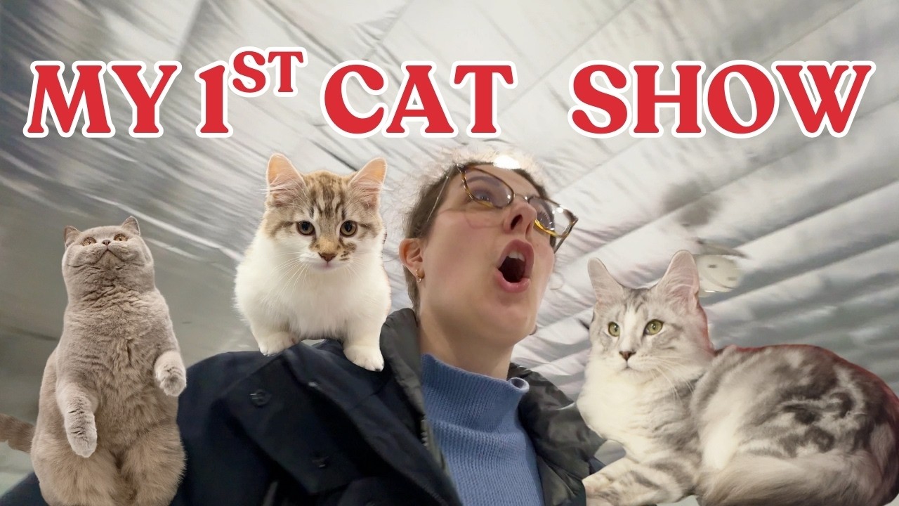 VLOG | I Attended My First Cat Show... Nobody Could've Prepared Me for ...