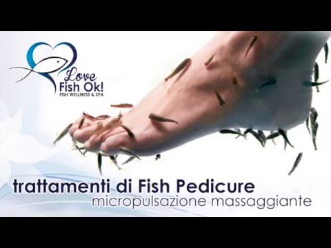 Fish Manicure & Pedicure | Love Fish Ok!