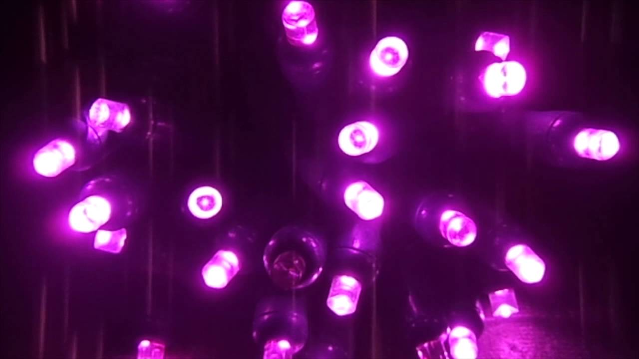 5MM LED Pink Twinkle Lights - YouTube