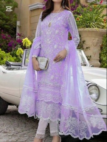 Organza Daman design ideas 2025@organza #Daman# - YouTube