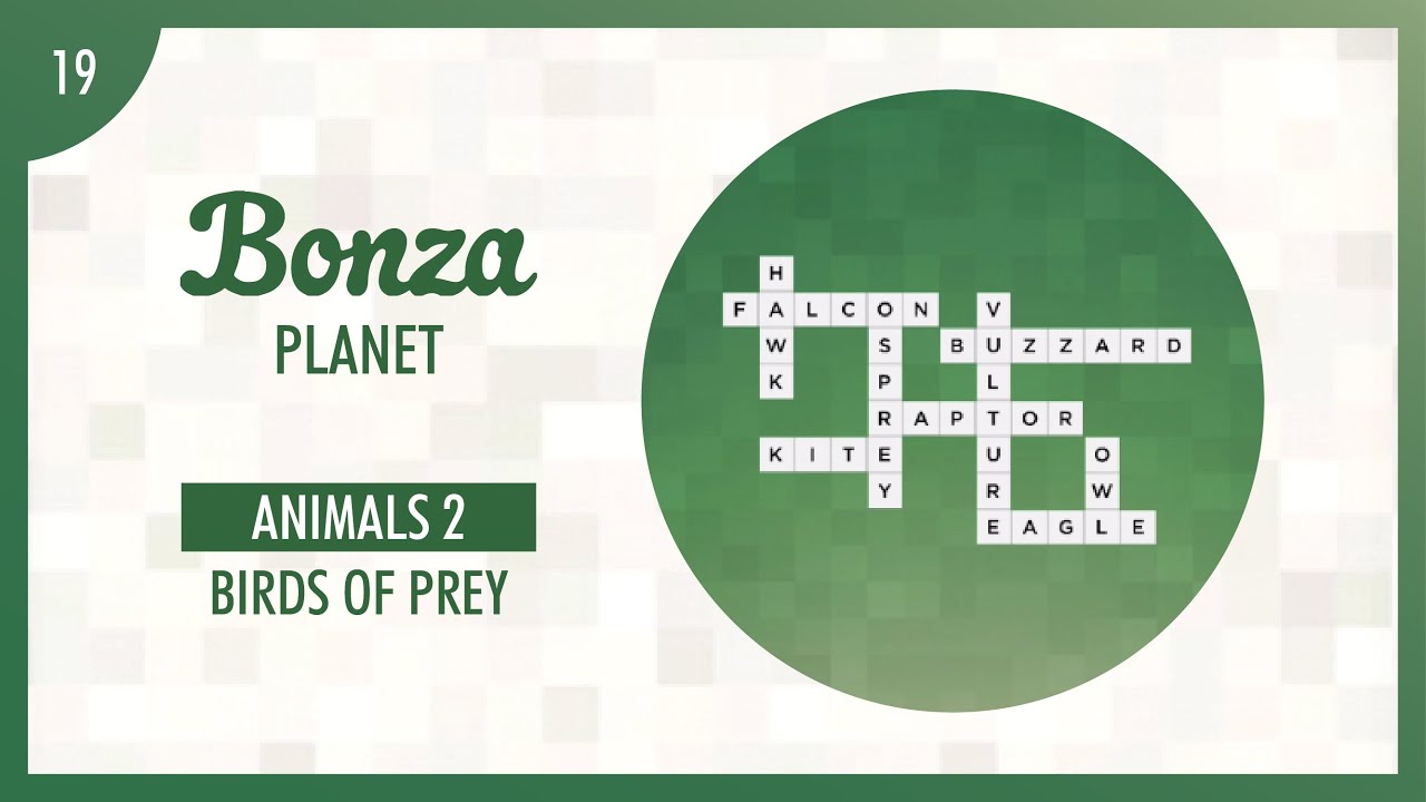 Bonza Planet | Themed | Animals 2 | Birds of Prey - YouTube