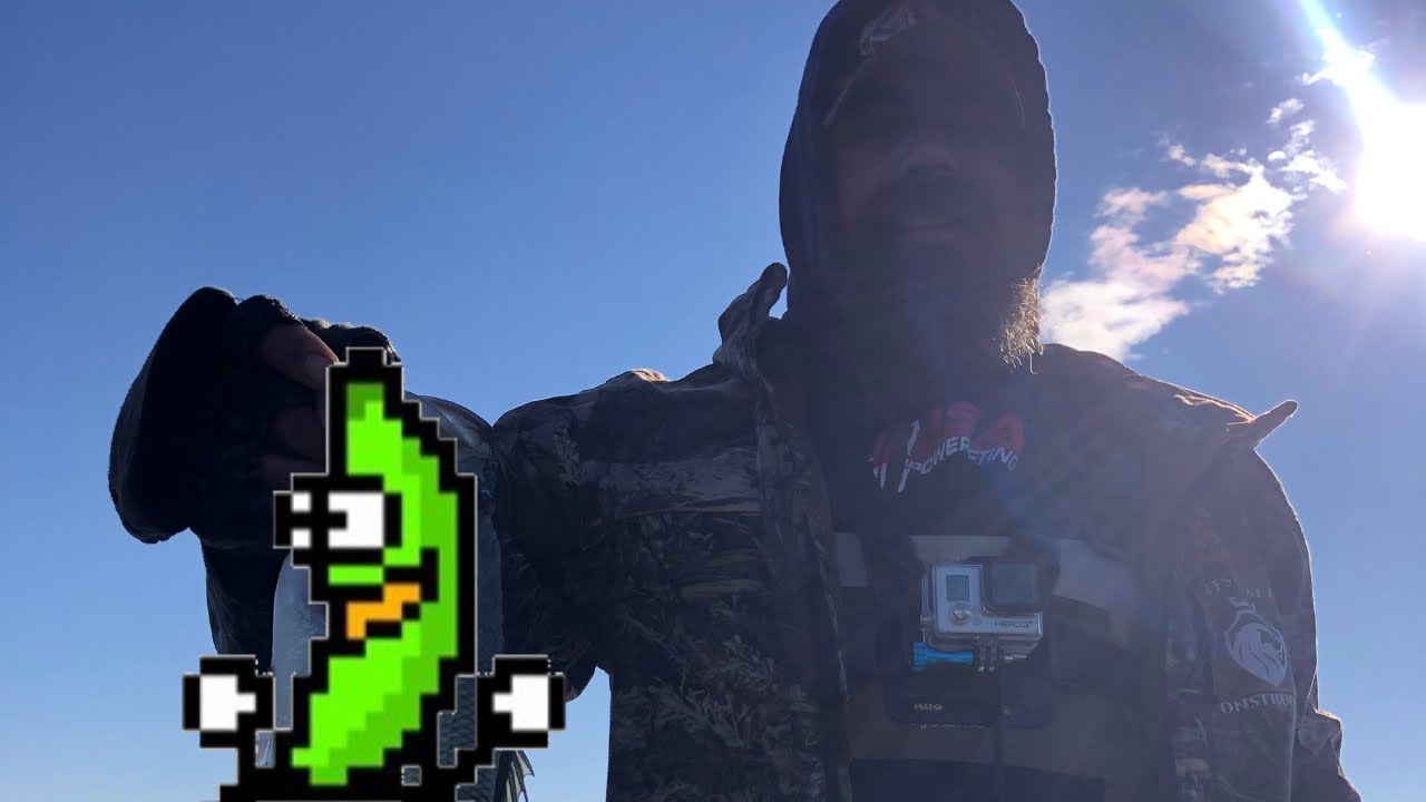 I caught a mutant ditch pickle - YouTube