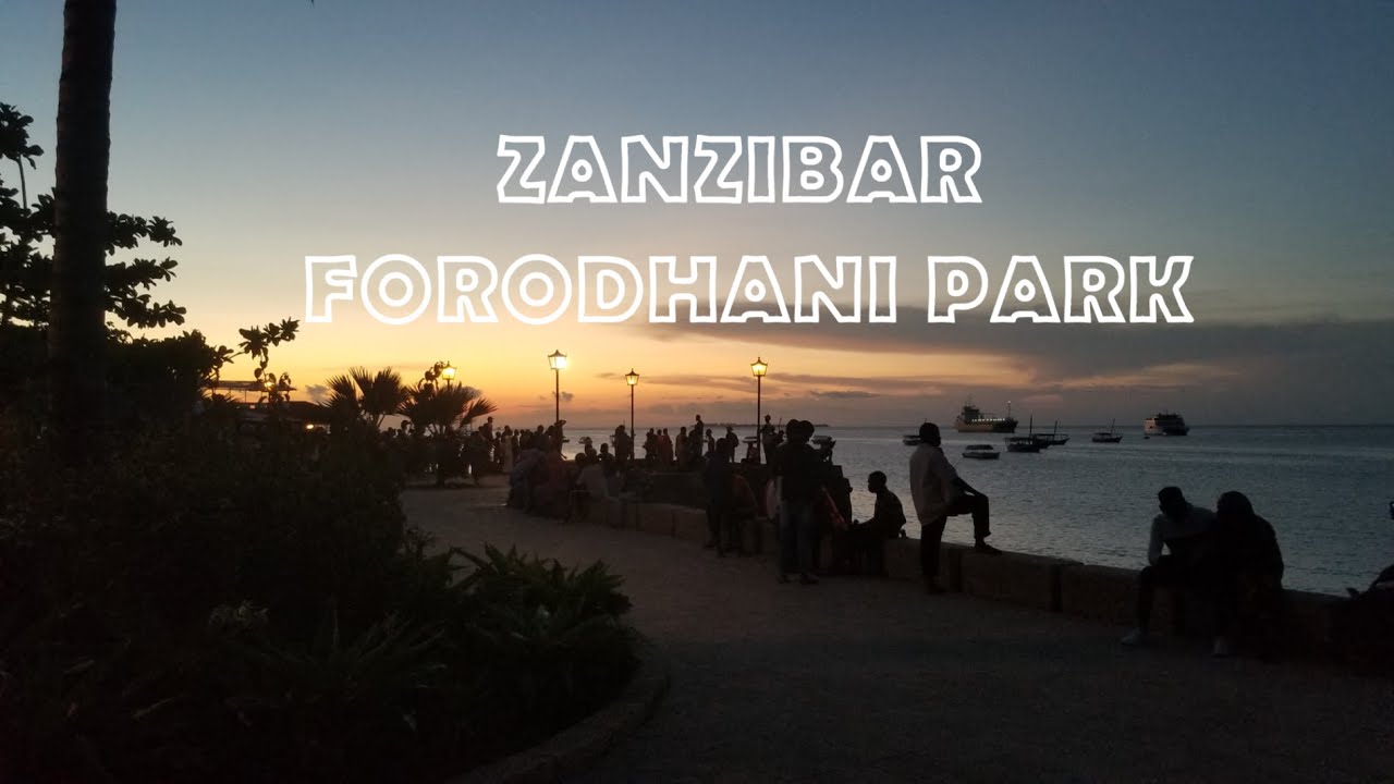 Forodhani Garden - Zanzibar Night Food Market - YouTube