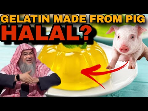 Is it Halal to Eat GELATIN Made from Pork? || Sheikh Assim Al Hakeem
