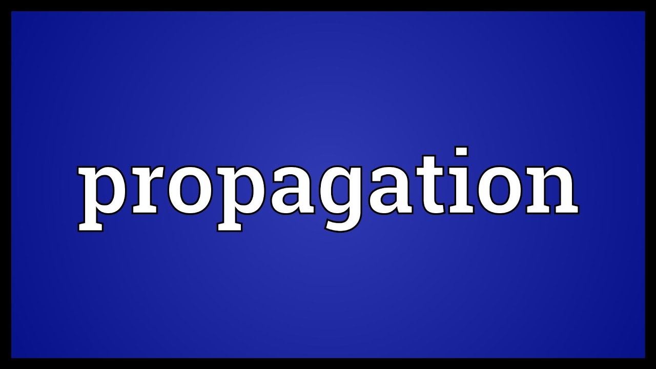 Propagation Meaning YouTube propagation-meaning-youtube